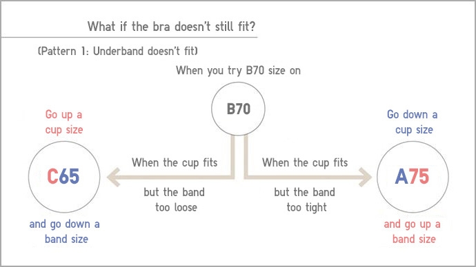 UNIQLO Size Guide for Bras - UNIQLO HONG KONG & MACAU